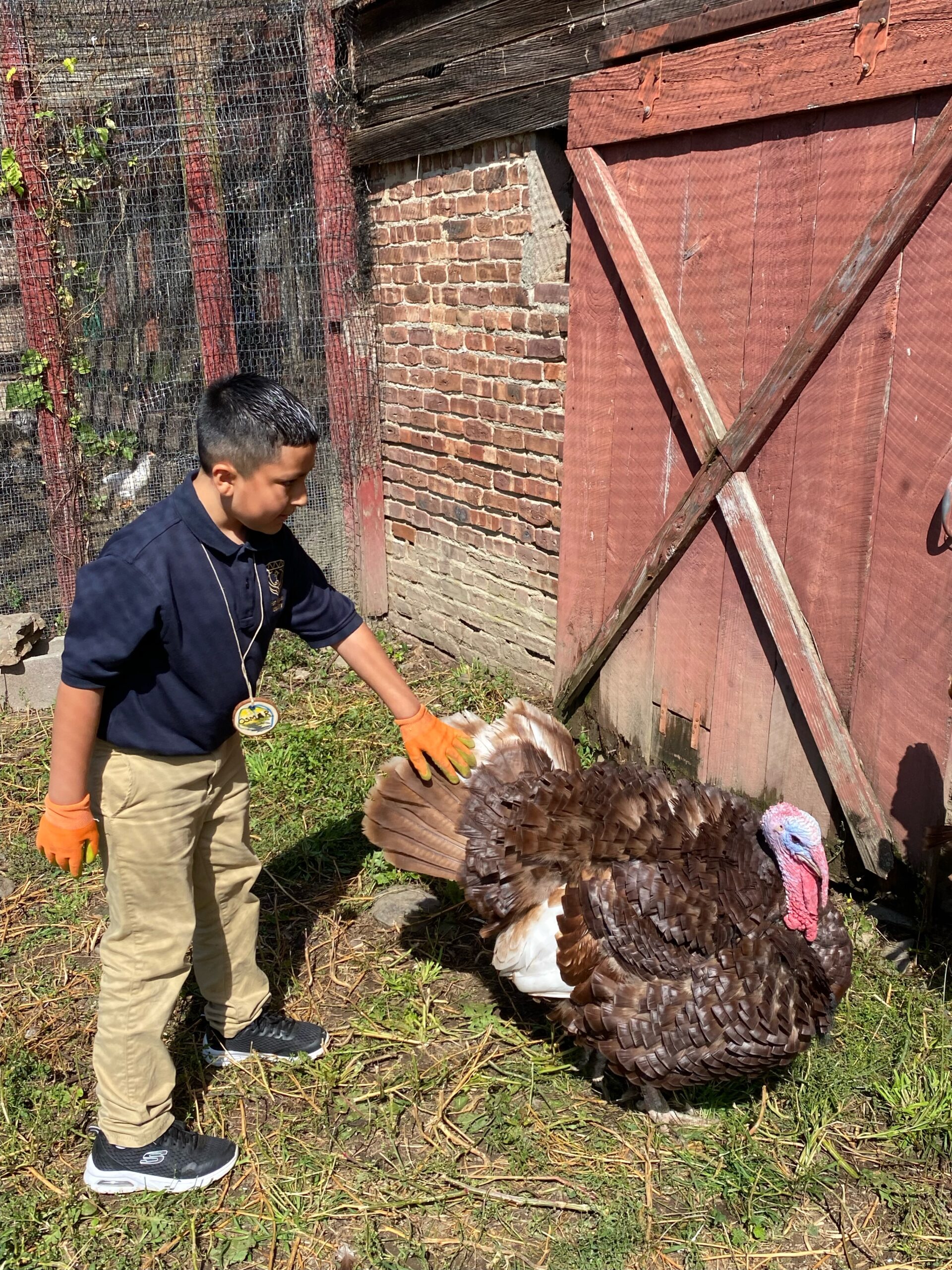 Educational Partners – San Miguel Program