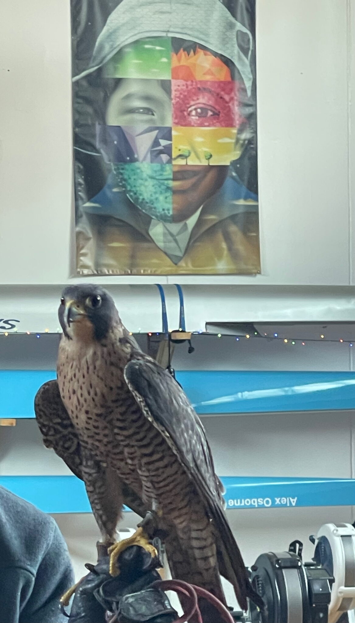 Place-Based Learning Comes to Life at San Miguel Academy – San Miguel ...